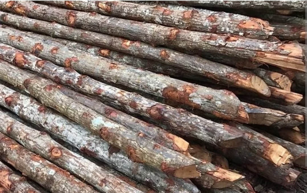 Hong Wen Hardware Timber Pte Ltd